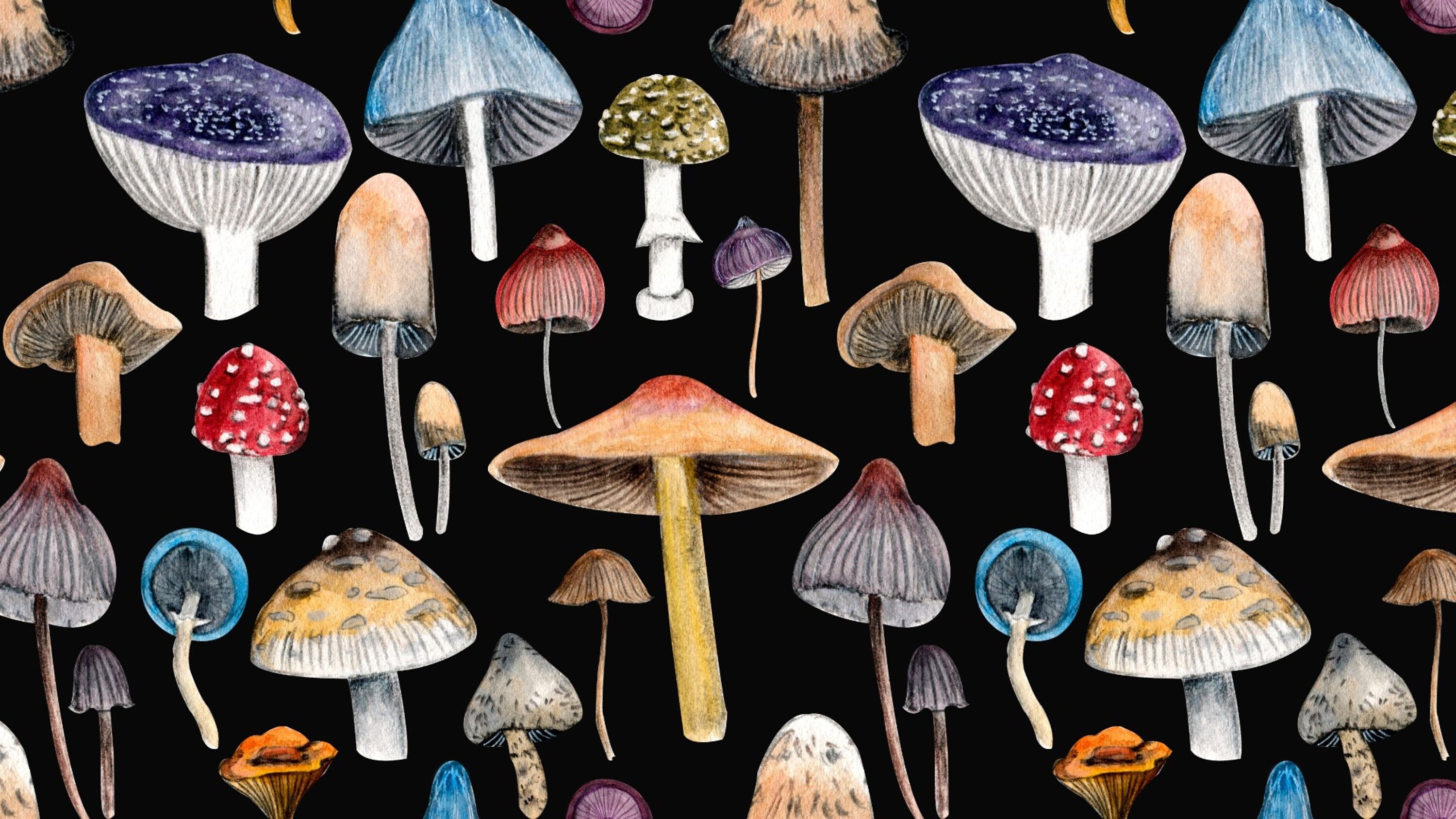 Colorful Mushrooms Wallpaper