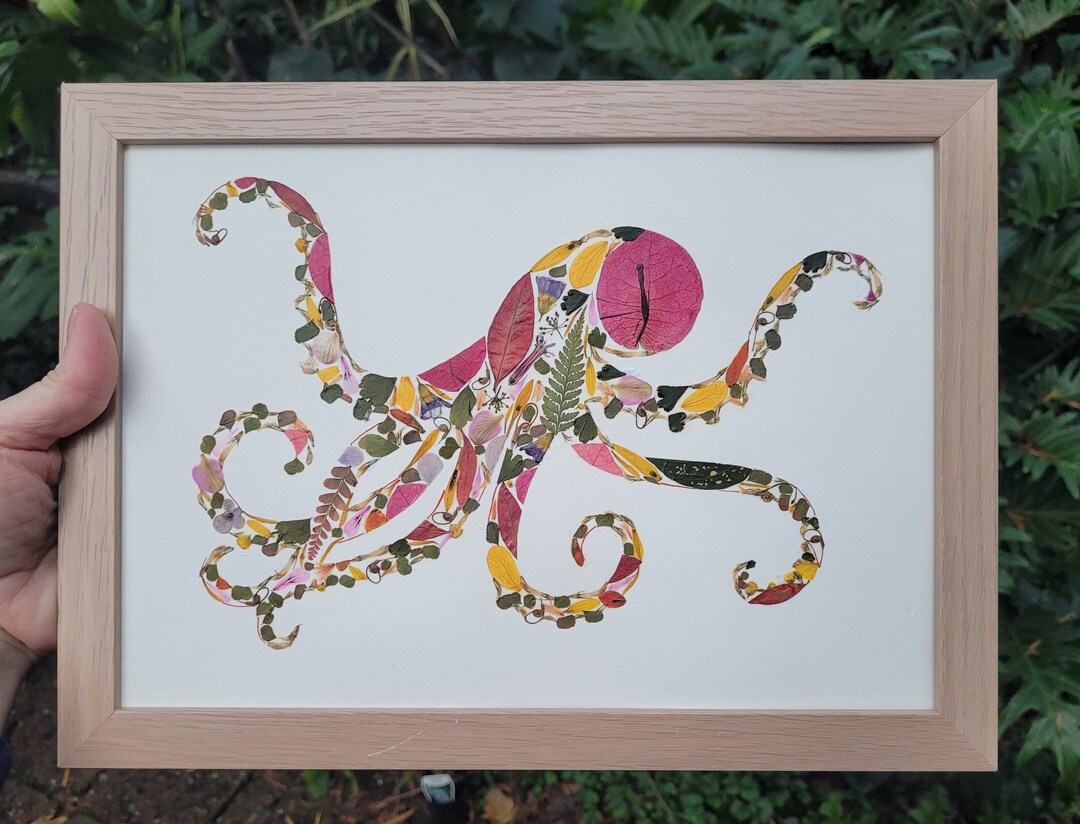 Pressed Flower Octopus Pressed Leaves Flora - Etsy