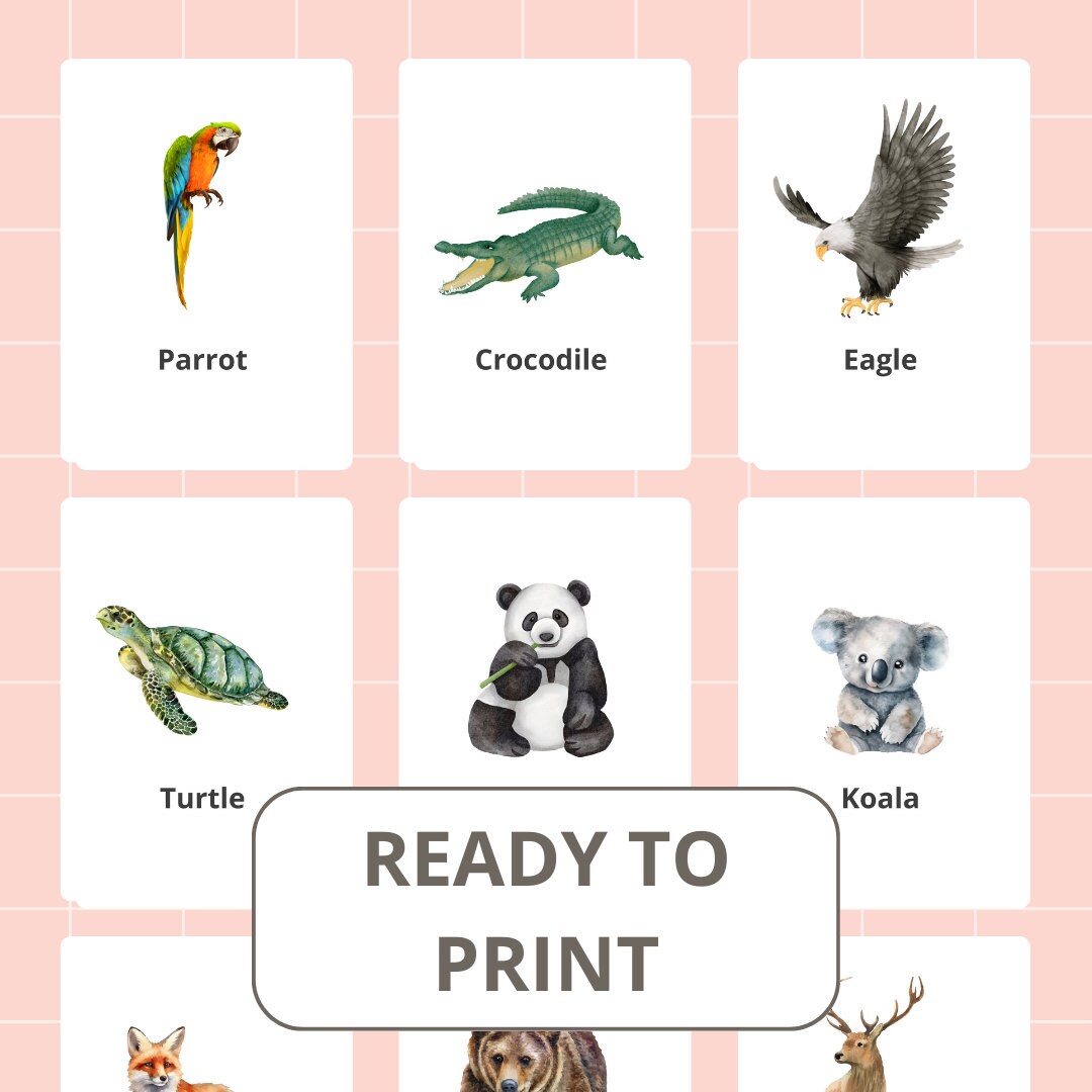 27 Animal Flashcards, Nursery Flash Cards, Montessori Activity ...