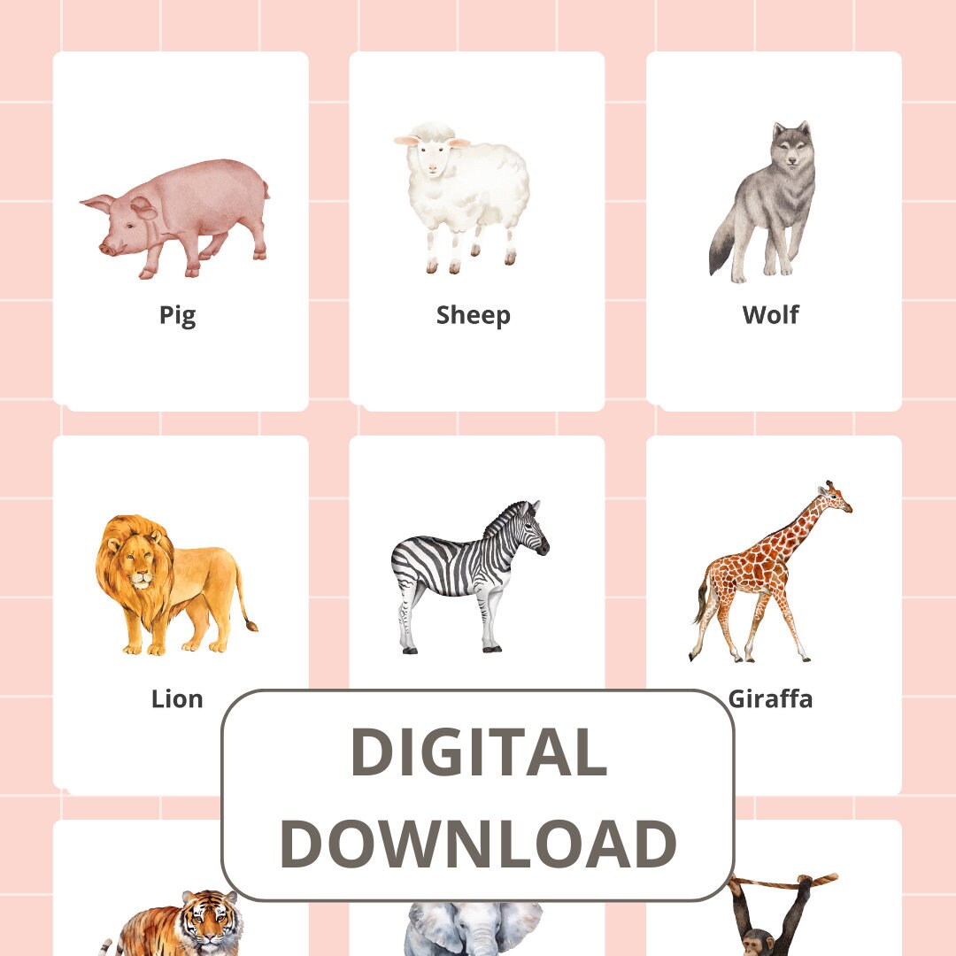 27 Animal Flashcards, Nursery Flash Cards, Montessori Activity ...