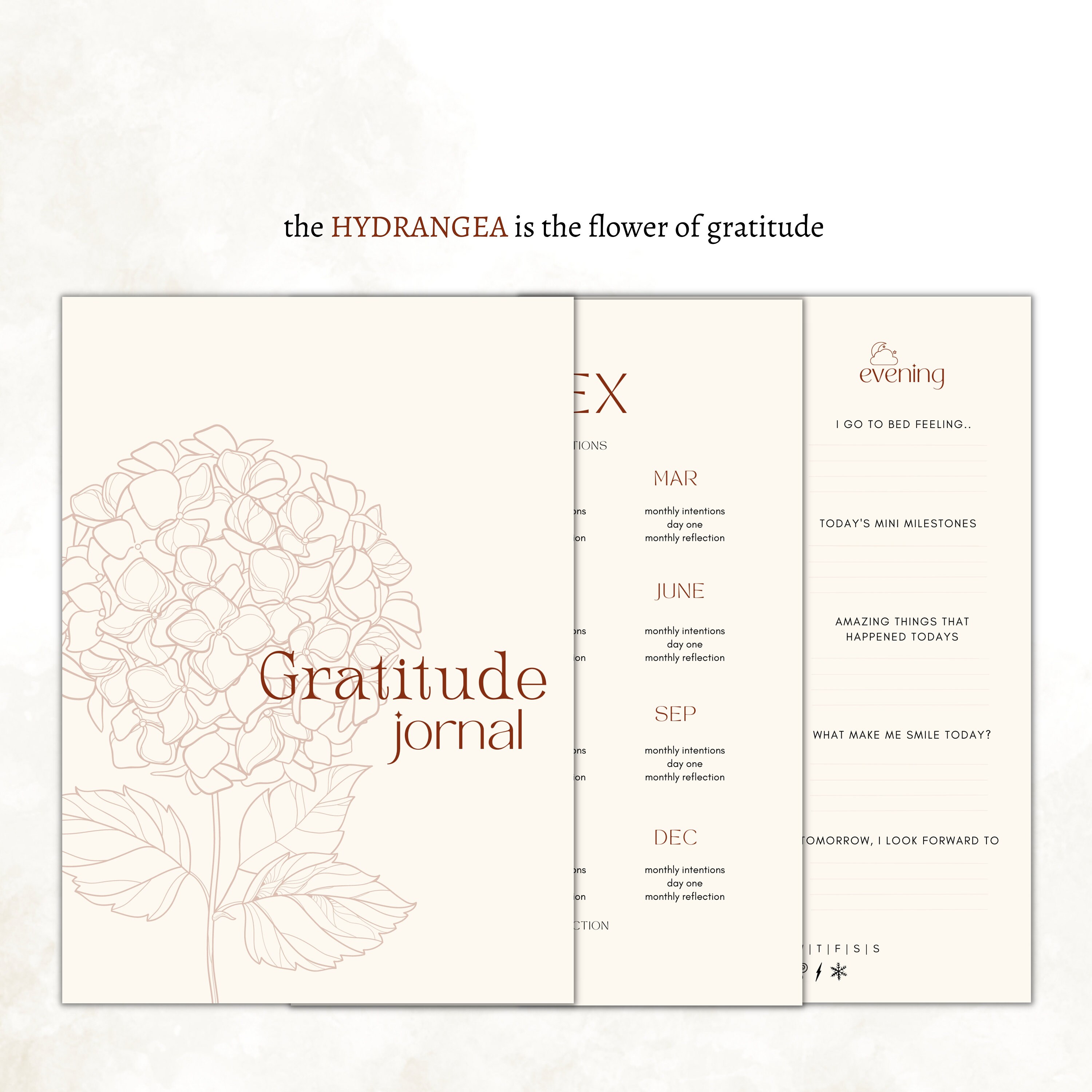 Printable Gratitude Guided Journal, 5 Min Morning & Evening Anxiety ...