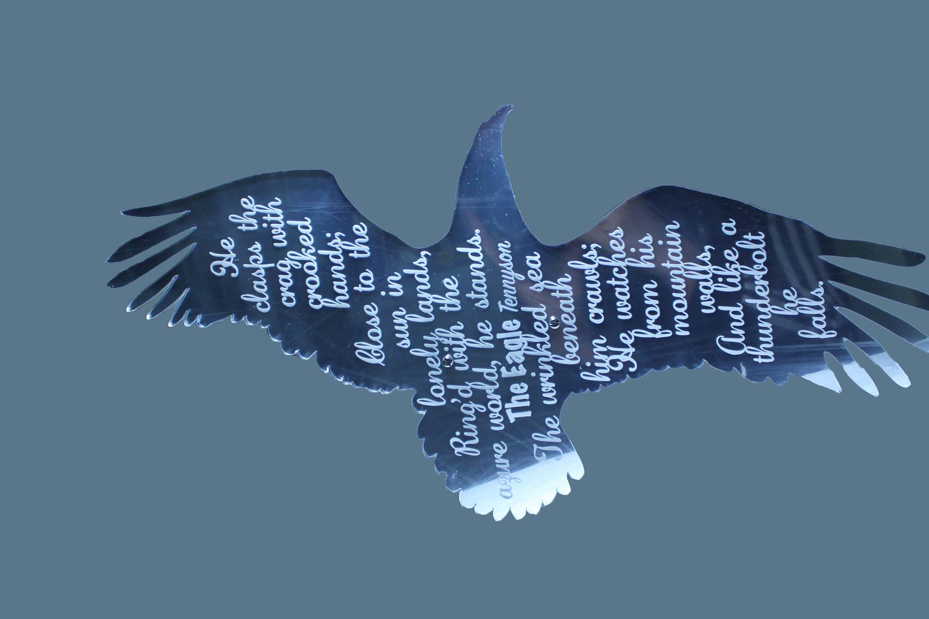 Flying Eagle Headpiece State of the Art Hat Poetry Hat Mirror Headpiece ...