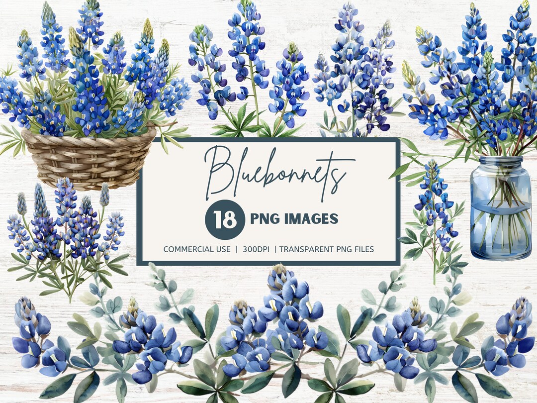 Bluebonnets Clipart Bundle, Texas State Flower, Transparent Pngs ...