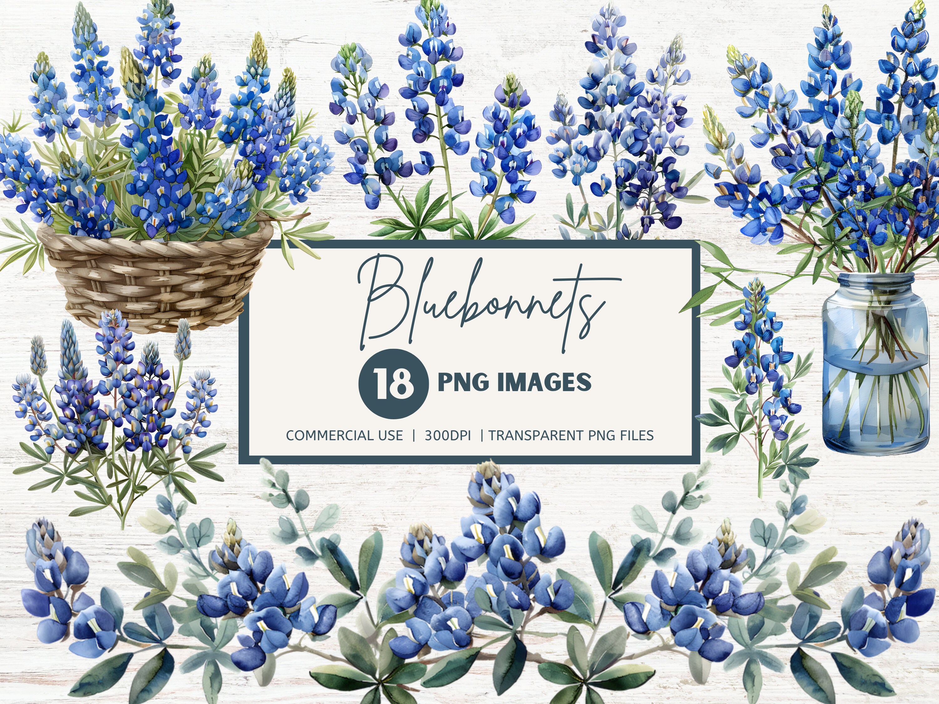 Bluebonnets Clipart Bundle, Texas State Flower, Transparent Pngs ...