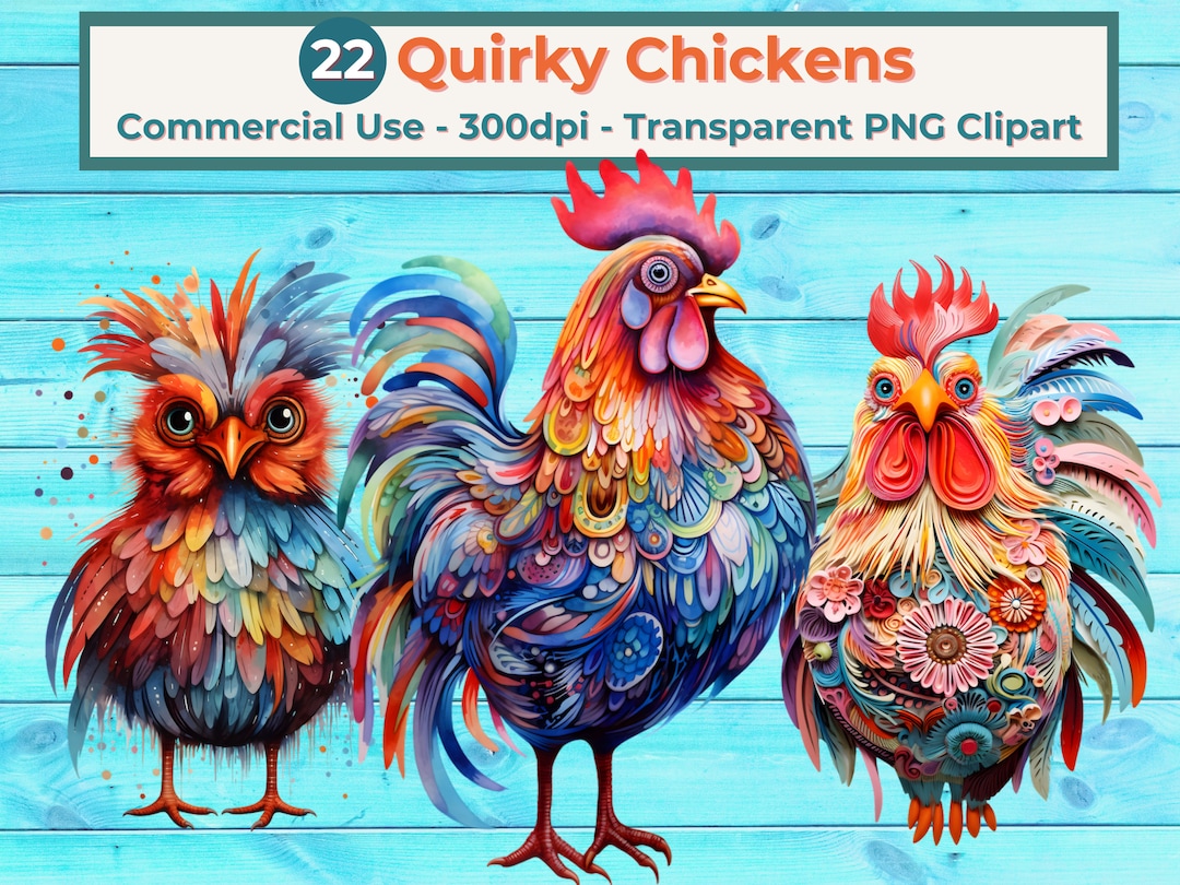 Quirky Chickens Clipart Bundle, Transparent Pngs, Commercial Use ...