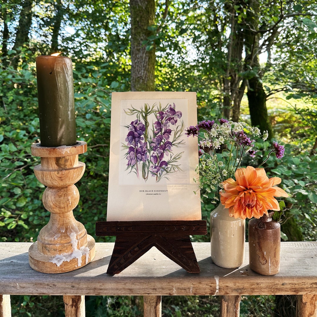 Vintage Floral Bookplate Print From 1946 Botanical, Flower Print, Book ...