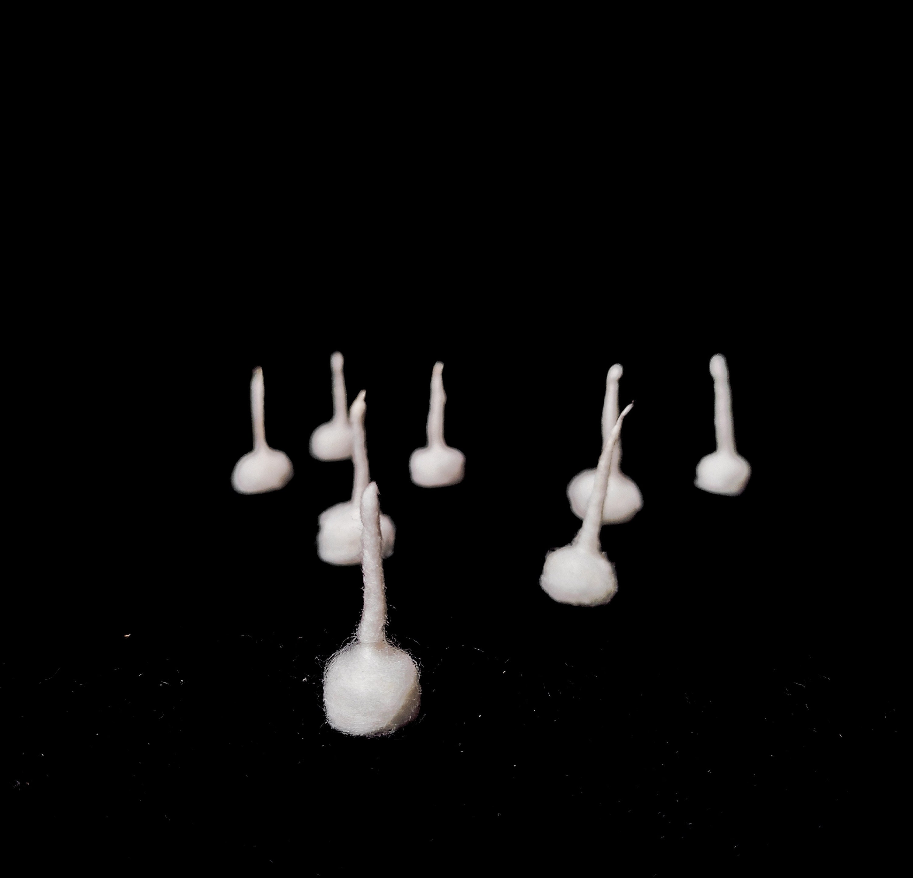 100% Organic Handmade Self Standing Cotton Wicks for Puja, Oil Lamps ...