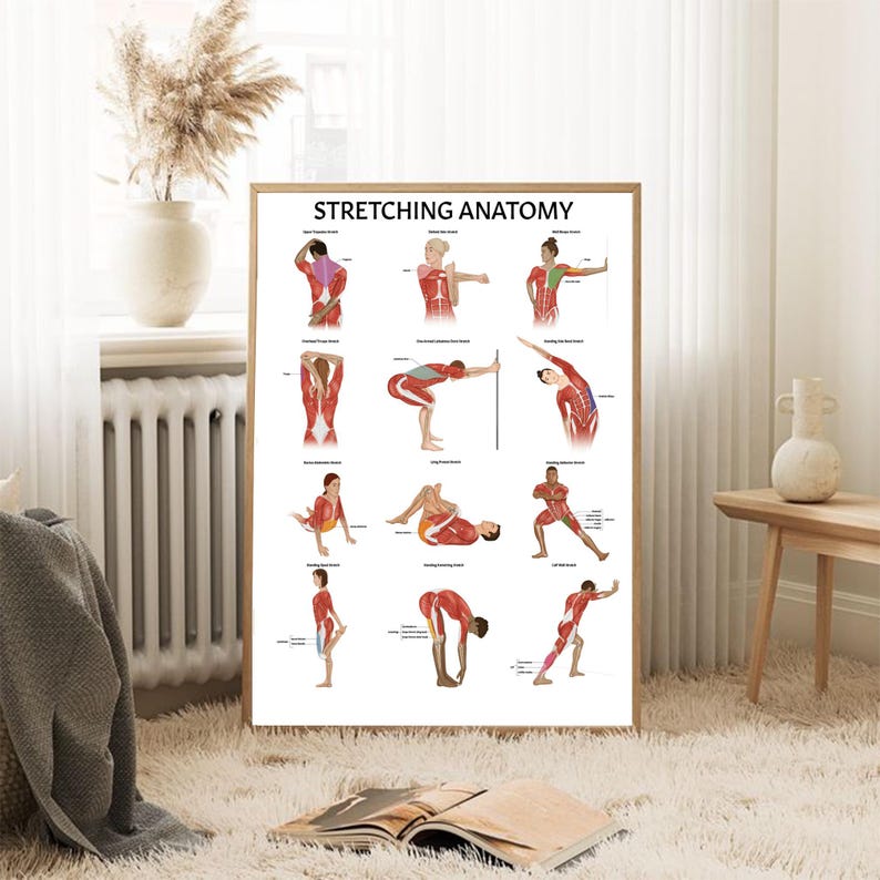 The Anatomy Lab Human Skeletal and Muscular Systems With Yoga, Pilates ...