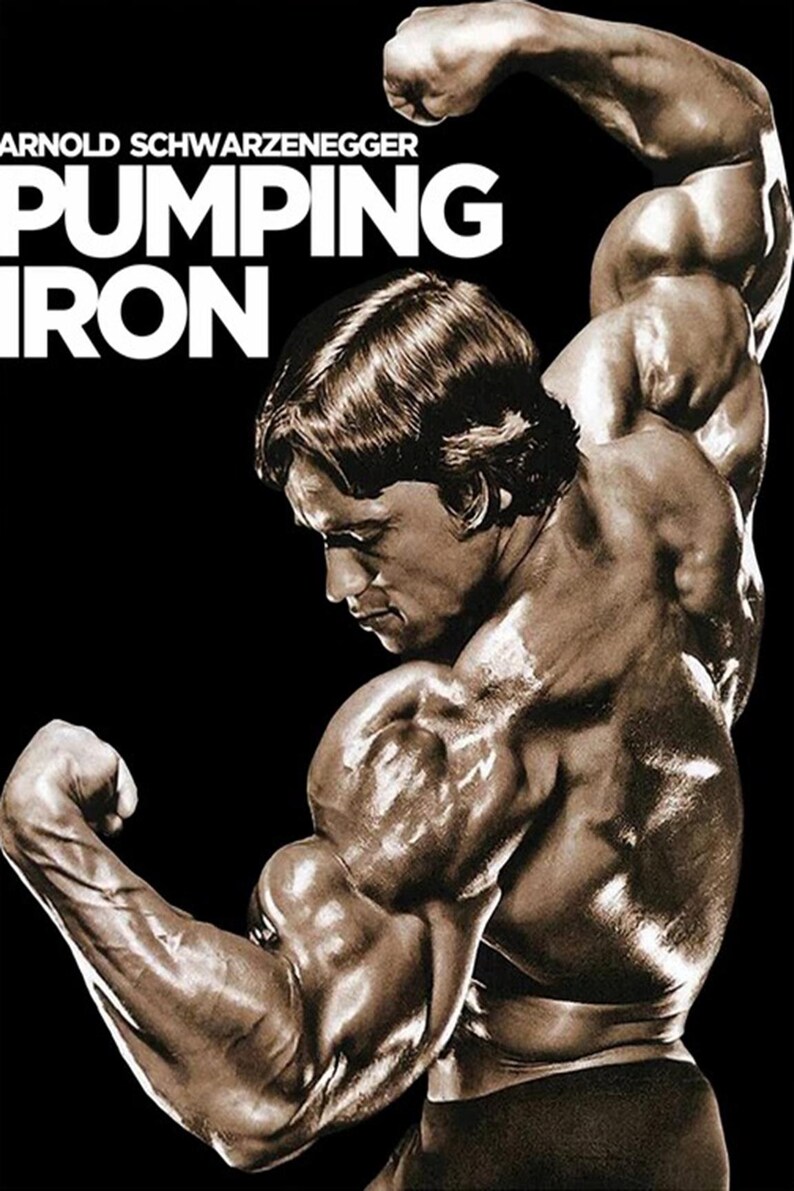 Vintage Arnold Schwarzenegger Poster - Decorate Living Room, Study Room ...