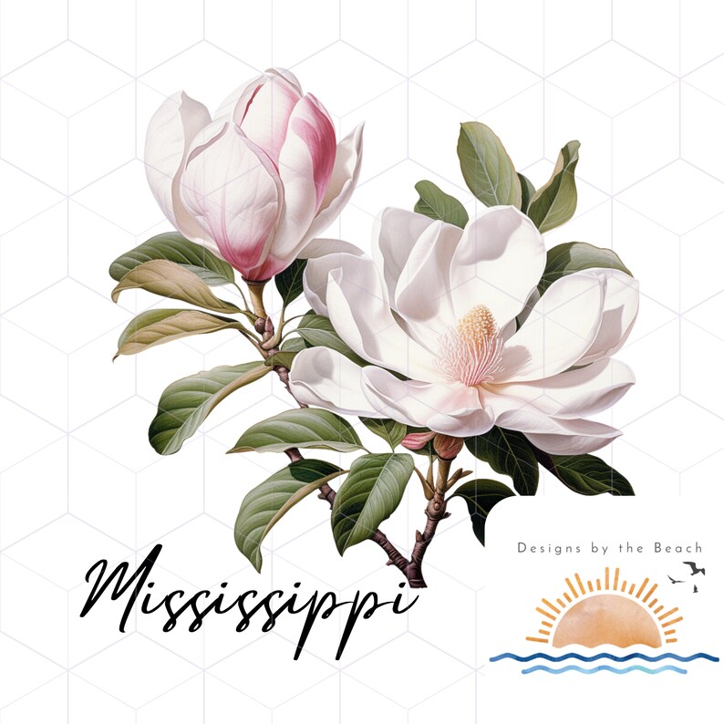 Mississippi State Flower Magnolia Sublimation Design Instant Download ...
