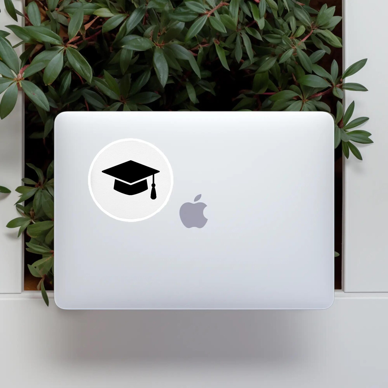 Graduation Grad Cap Silhouette Instant Download Includes SVG File, JPEG ...