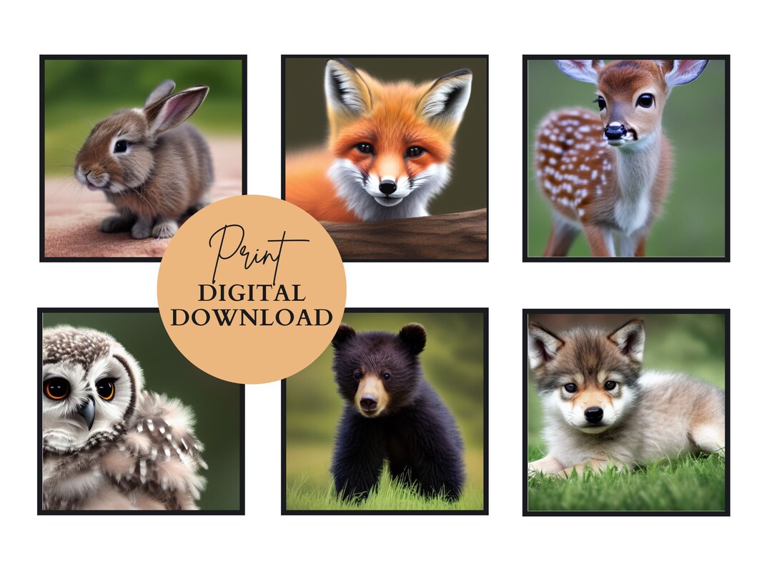 Woodland Baby Animals Nursery Wall Art Digital Prints Bundle, Baby ...