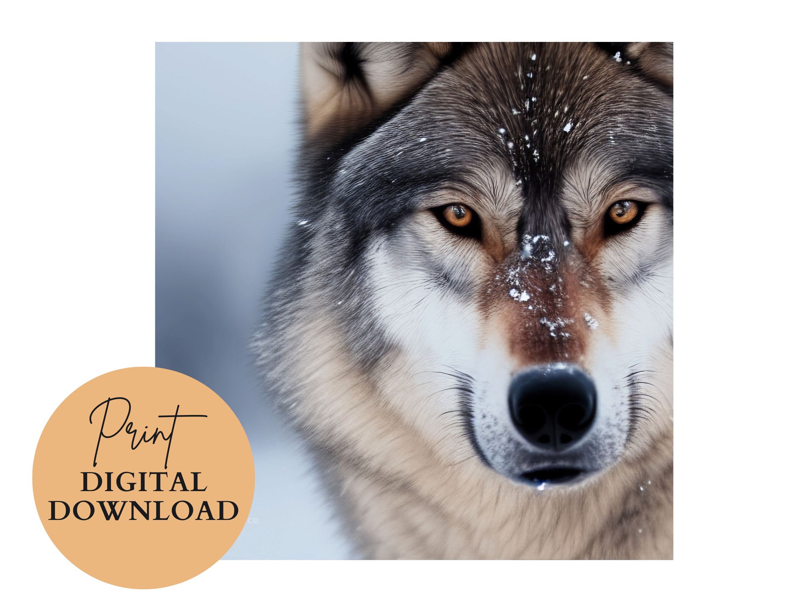 Winter Wolf Wall Art, Wolf Digital Prints Downloads, Wolf Digital ...