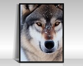 Winter Wolf Wall Art Wolf Digital Prints Downloads Wolf - Etsy
