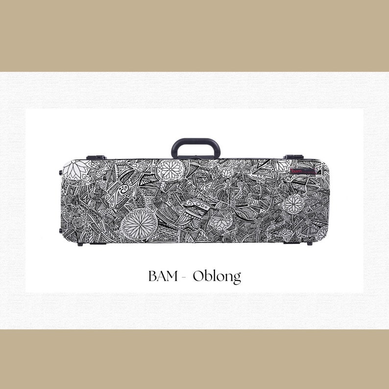 Decorated Violin Case - Etsy