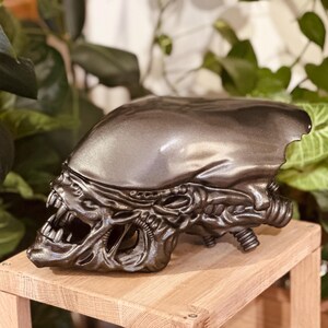 Xenomorph Alien Trophy Head - Etsy
