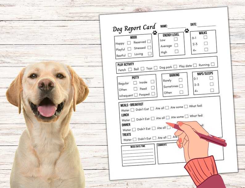 Dog Report Card for Pet and Puppy, Pet Sitter Report, Dog Boarding and ...