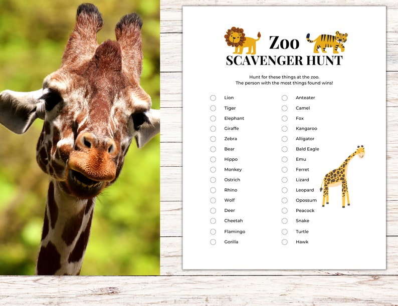 Zoo Scavenger Hunt, Outdoor Zoo Games for Kids and Adults - Etsy