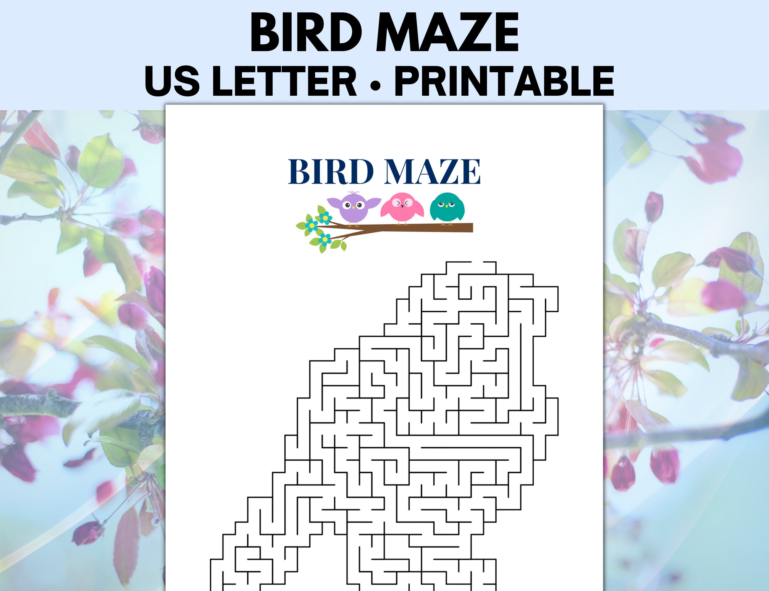 Bird Maze Printable Animal and Nature Maze, Earth Day Maze - Etsy