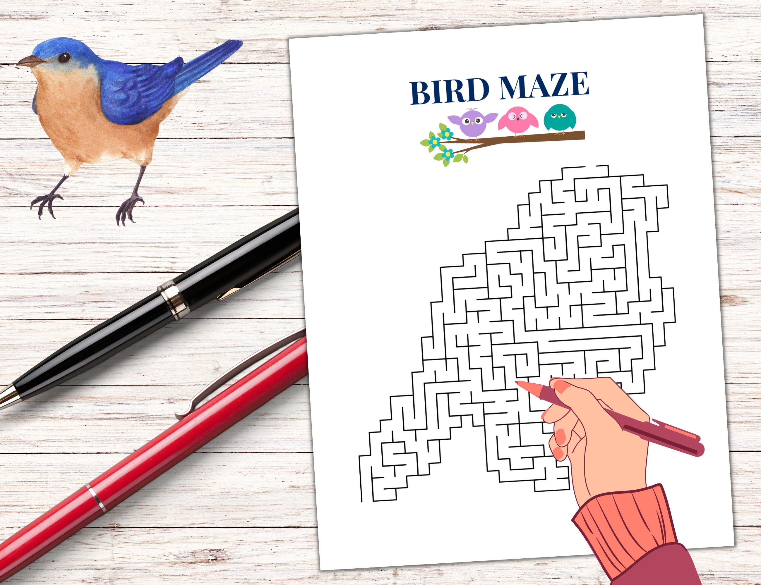 Bird Maze Printable Animal and Nature Maze, Earth Day Maze - Etsy