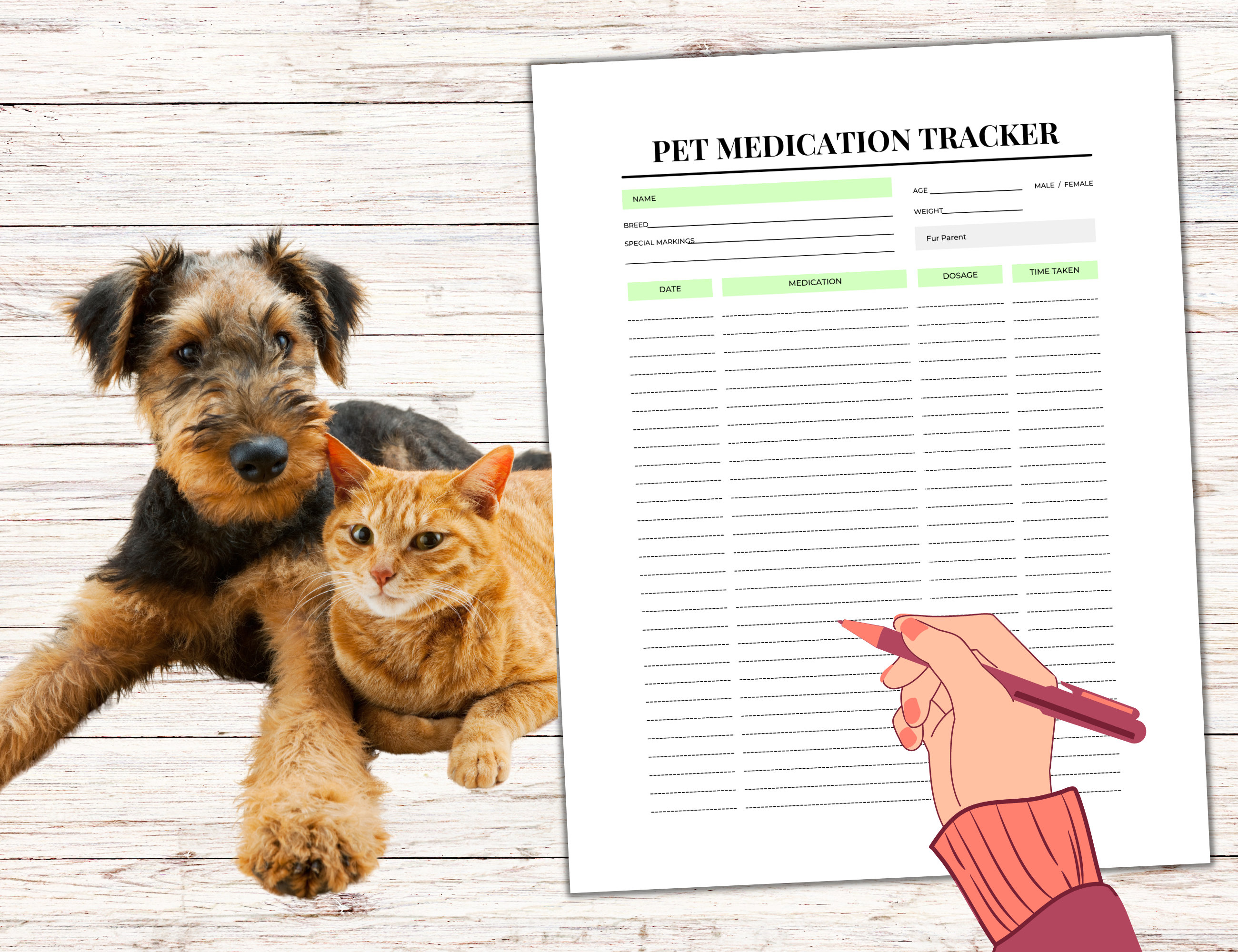 Pet Medication Tracker to Track Cat and Dog Medicine, Pet Medication ...