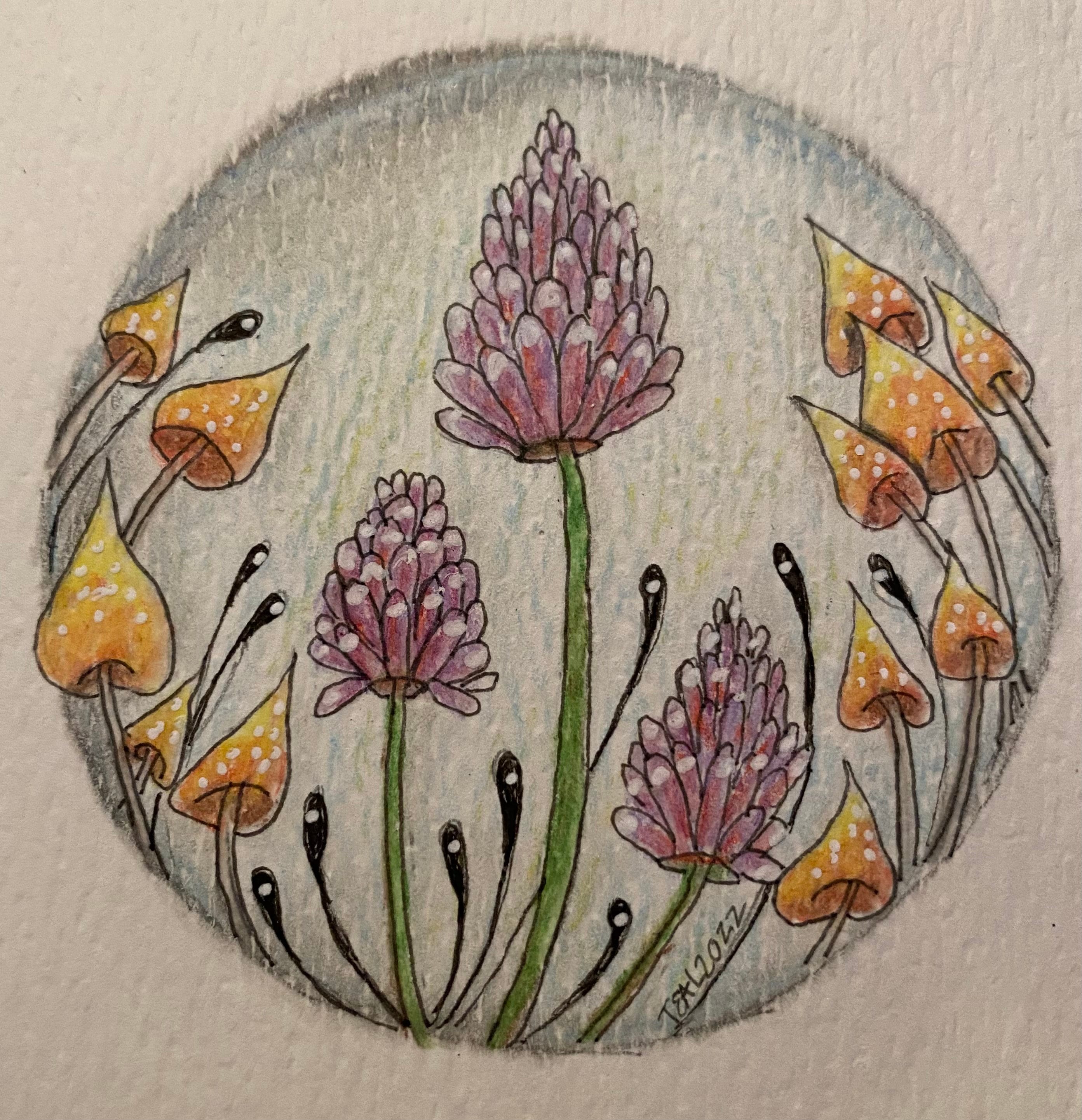 Zentangle Flower Garden