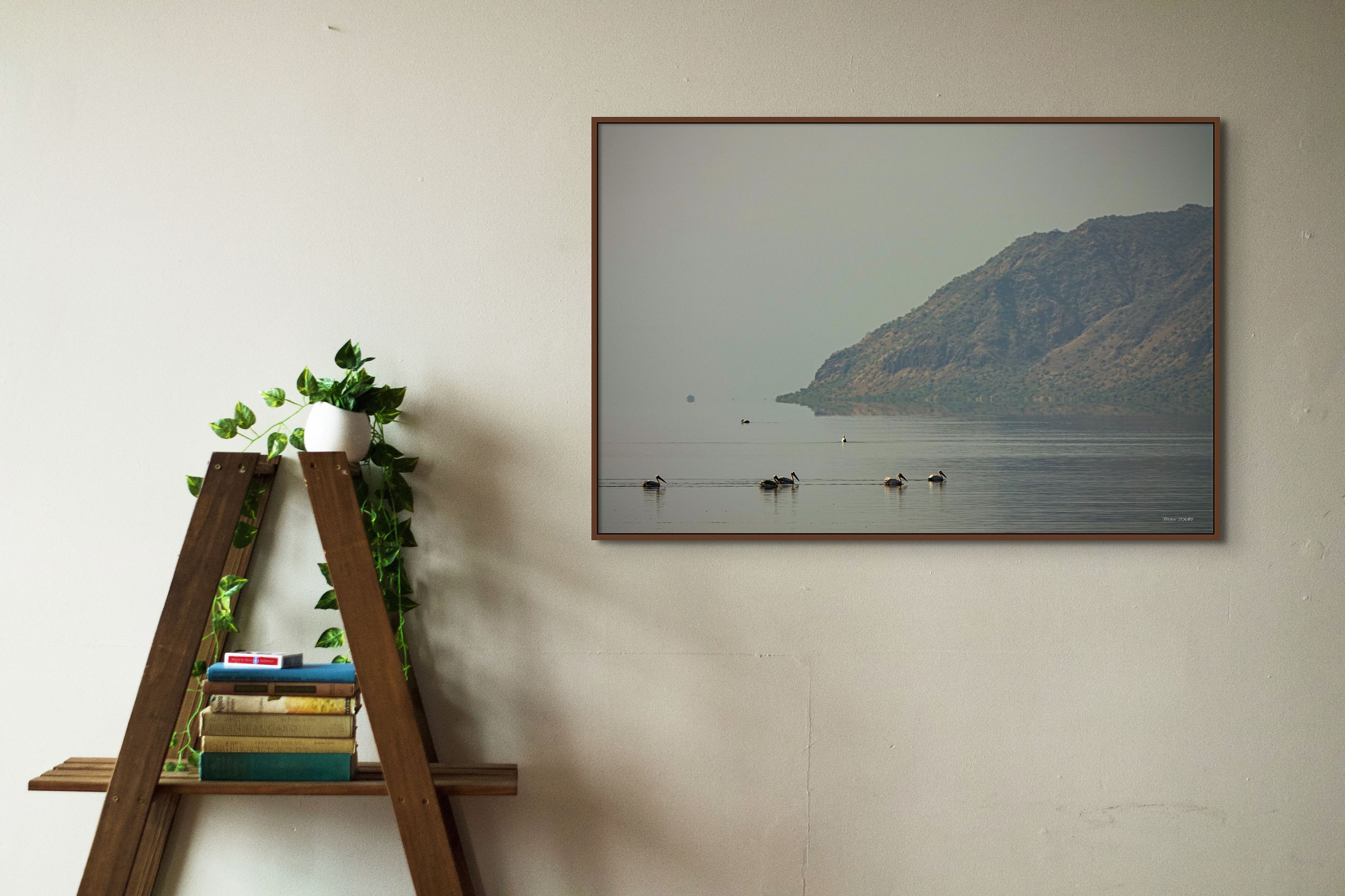 Lake Natron Kenya Pelicans Digital Print Wall Art Home - Etsy