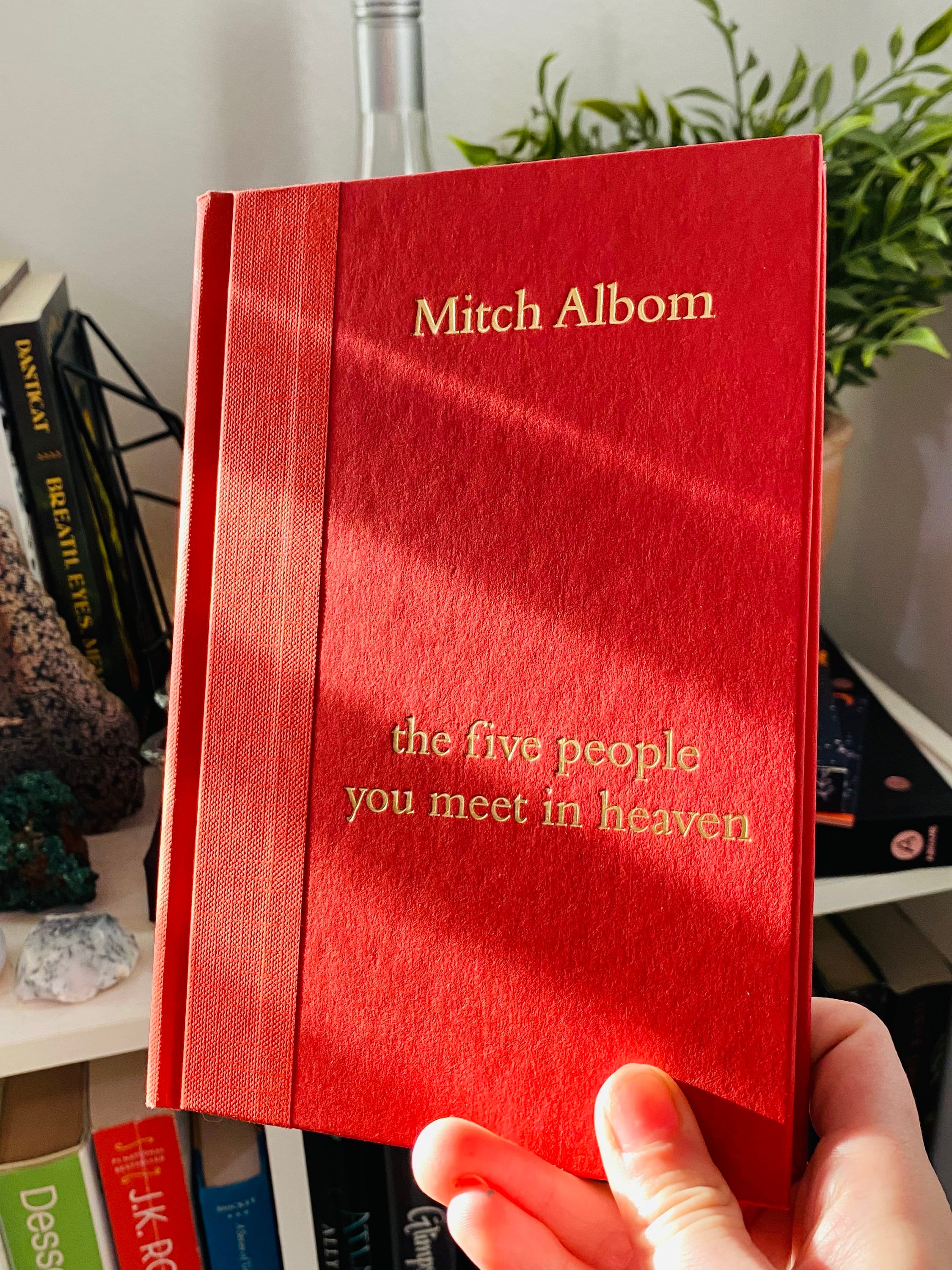 The Five People You Meet in Heaven by Mitch Albom - Etsy UK