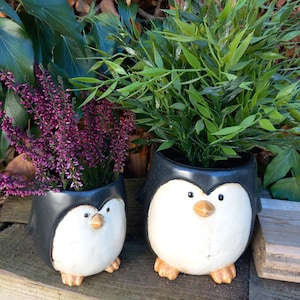 Penguin Plant Pots Penguin Design Pair Two Penguin Flower Plant Pots ...