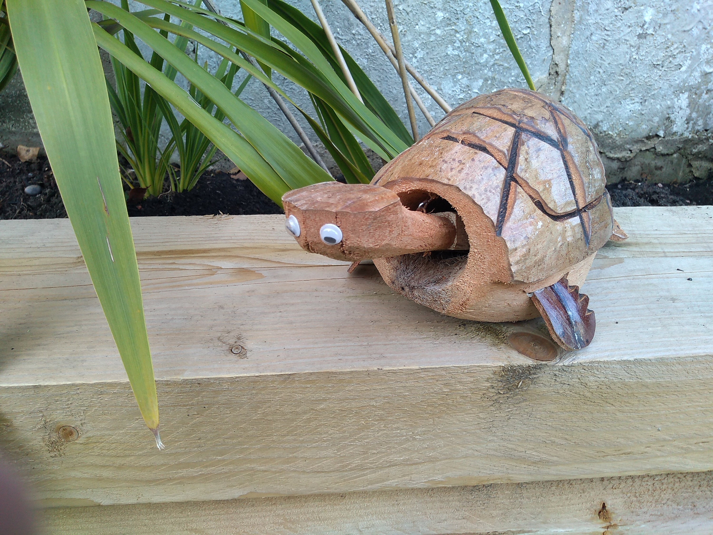 Coconut Turtle With Bobbing Head Hand Carved - Etsy