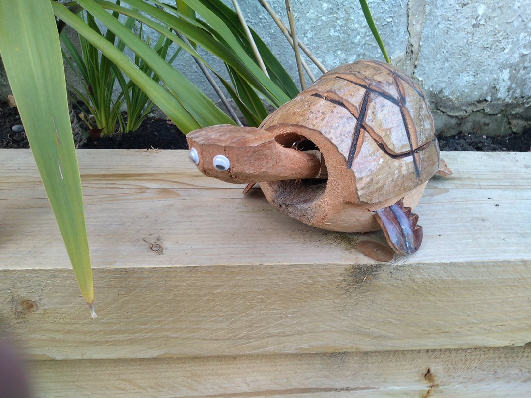 Coconut Turtle With Bobbing Head Hand Carved - Etsy