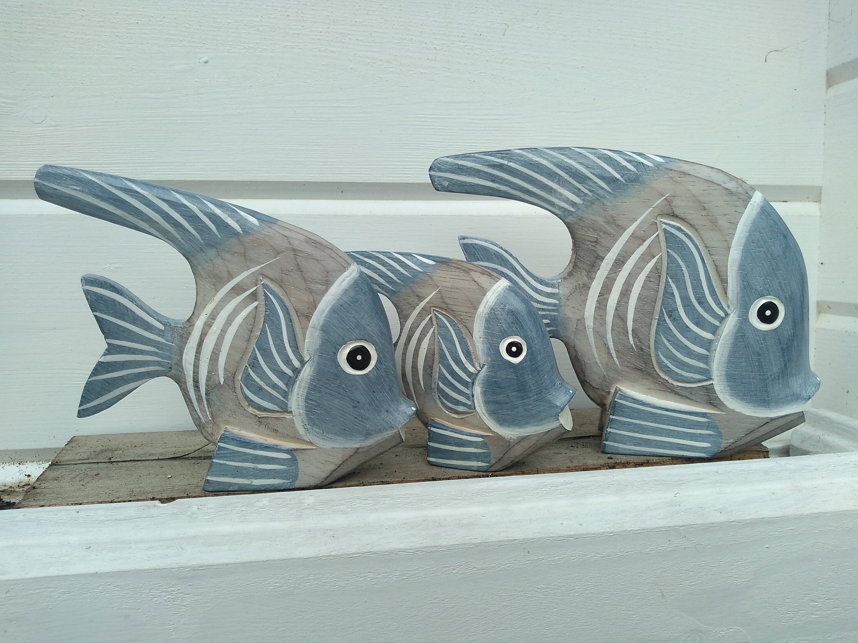 Angel Fish Set of 3 Handcrafted and Painted Wooden Angel Fish - Etsy UK