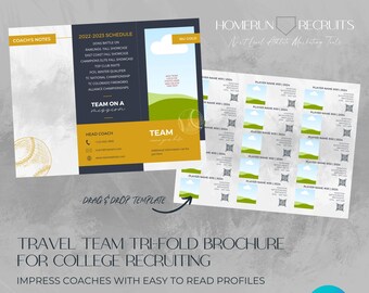 Baseball Player Profile Template - Etsy