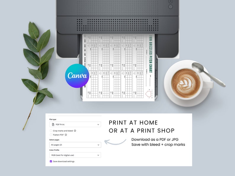 Fastpitch Softball Baseball Coaches Tools Pitch Chart and Lineup Card ...