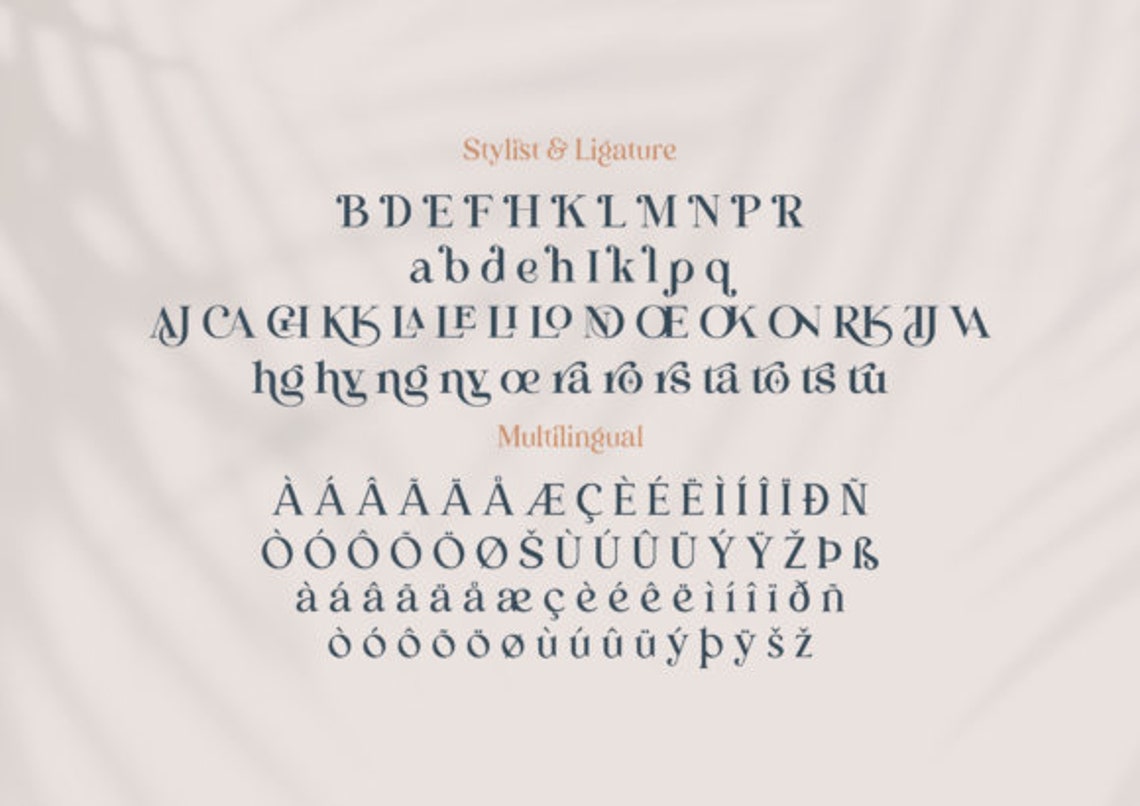 Abigail Nagita Font, Script Font, Decor Font, Cute Font, Vintage Font ...