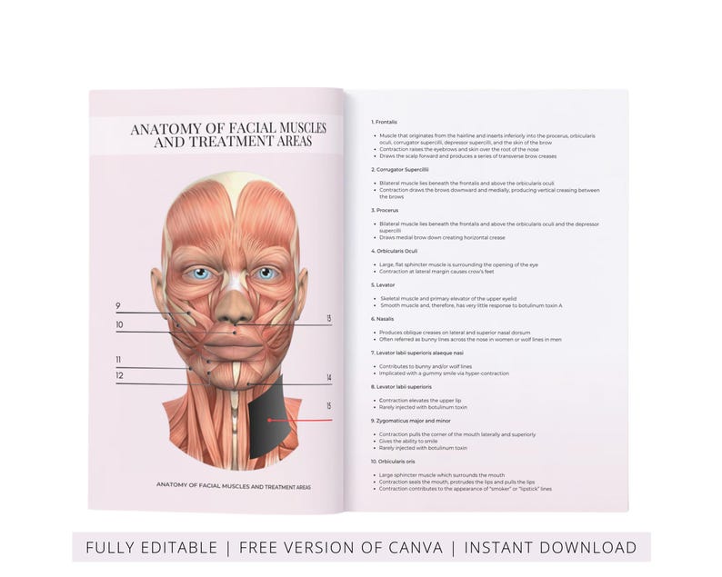 Aesthetics Nurse Training Manual, Fillers, Botox, Lasers, Skincare ...