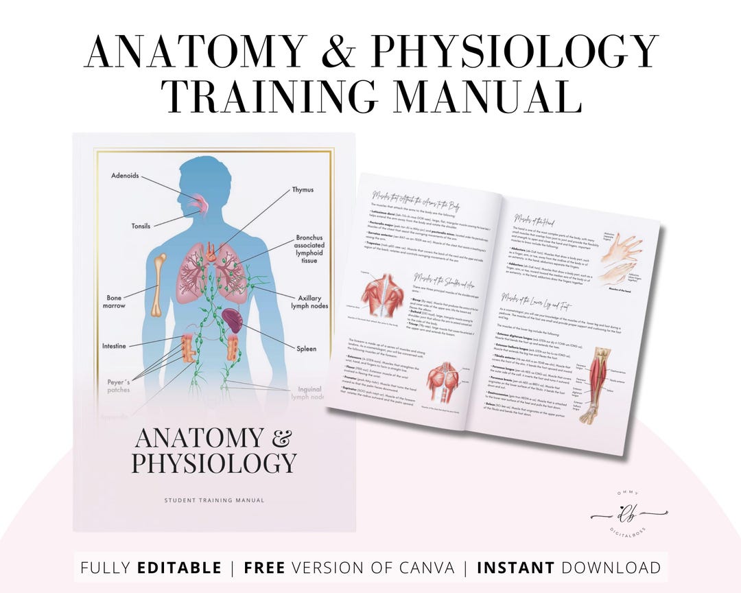 Anatomy Physiology Training Manual, A & P Study Guide for Students and ...