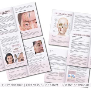 Facial Anatomy for Aesthetic Injectors Training Manual, Nurse Injectors ...