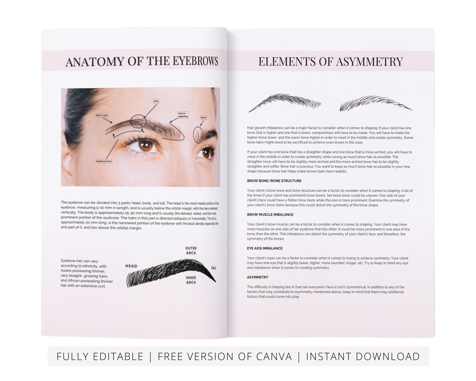Brow Mapping Editable Workbook, Eyebrow Training Guide (canva Template ...