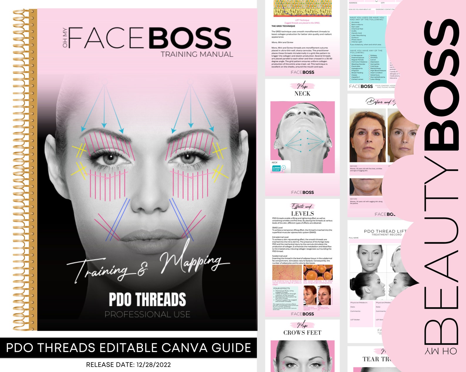 PDO Threads Training Manual, PDO Threads Mapping, Training & Mapping, Aesthetics Treatments ...