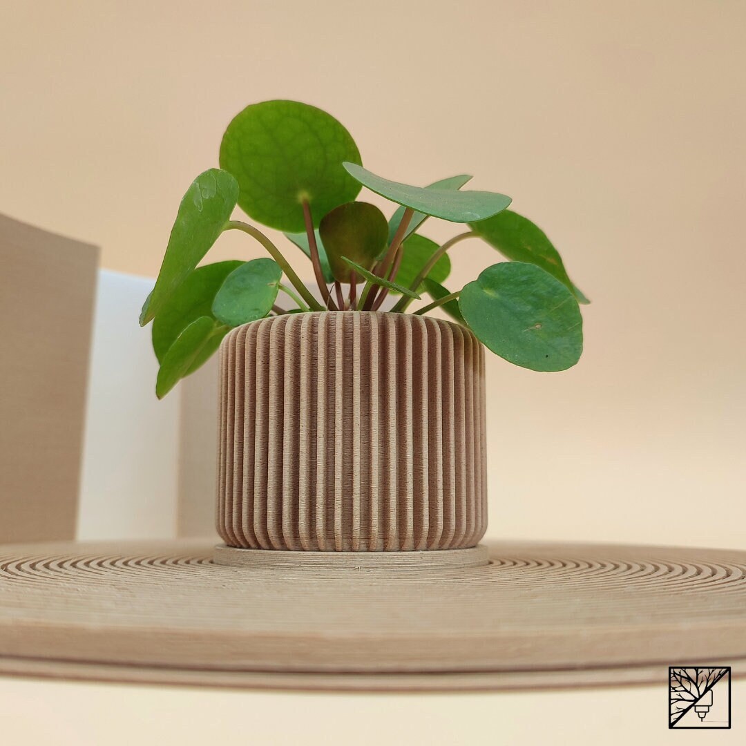 Petit cache-pot / Cache-pot 5,5 cm et 8,5cm / Cache-pot minimaliste ...