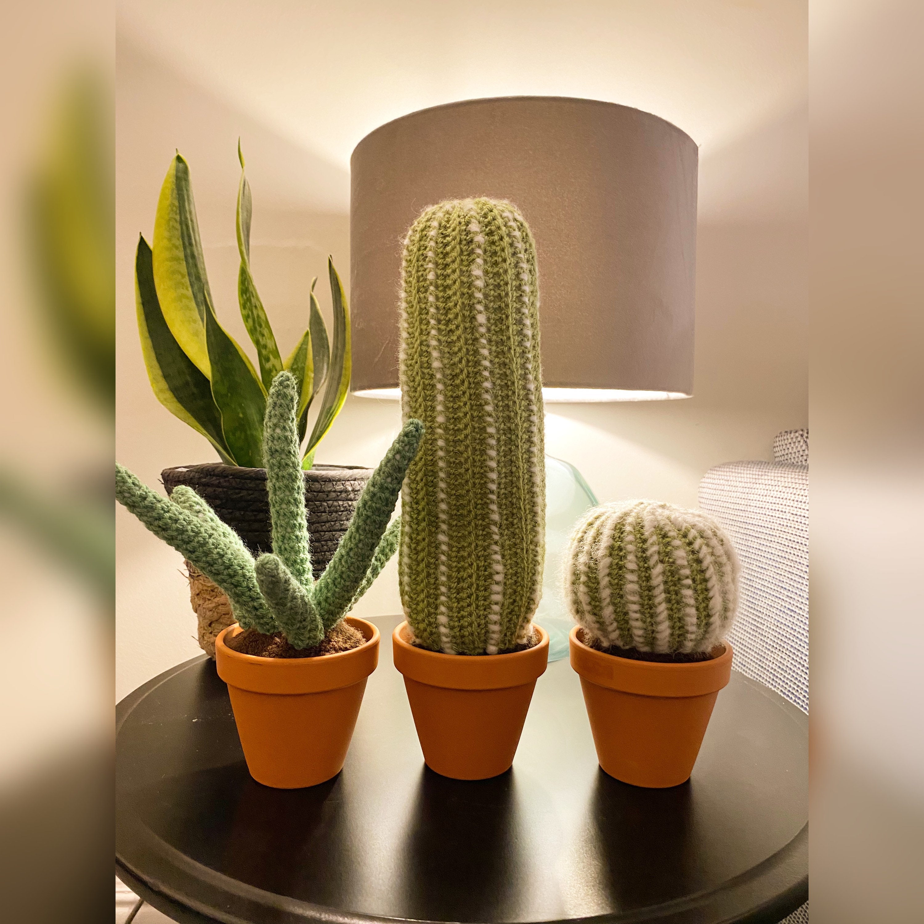 Crochet Cacti and Succulents - Etsy