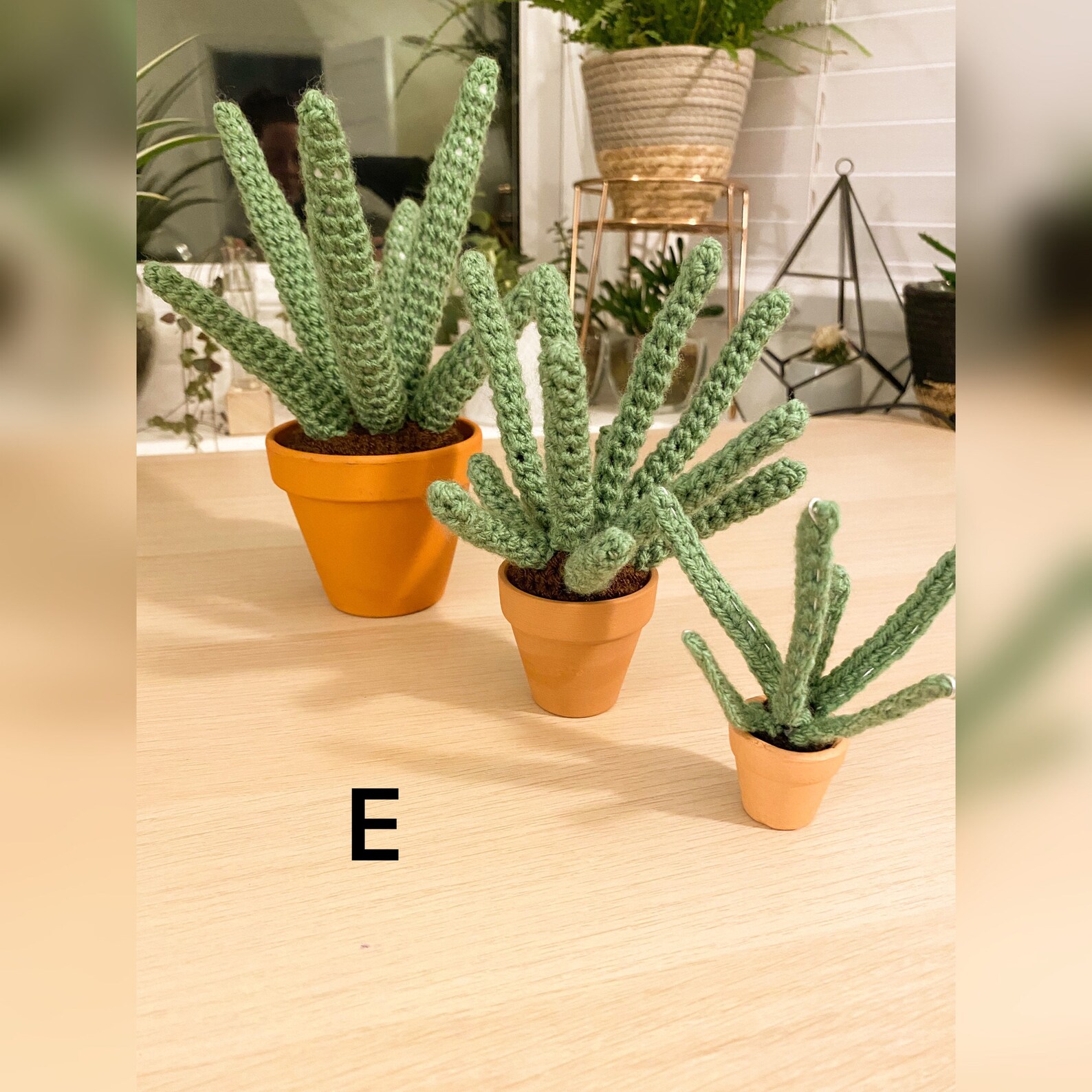 Crochet Cacti and Succulents - Etsy