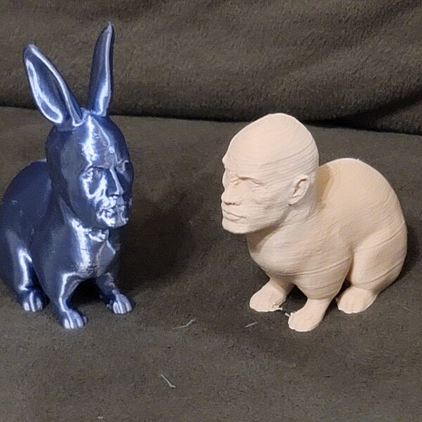 Dwayne Johnson Bunny - Etsy