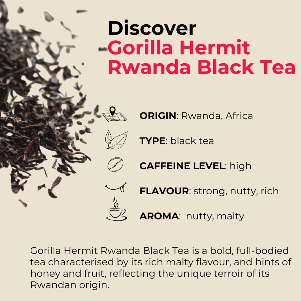 Teapro Gorilla Hermit Rwanda Black Tea Premium Tea for Mindful Moments ...