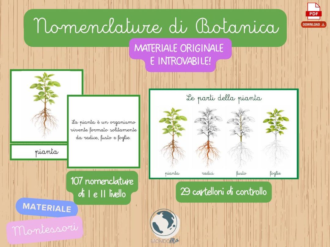 Montessori Botanical Nomenclature and Control Panels | Cosmic Education ...