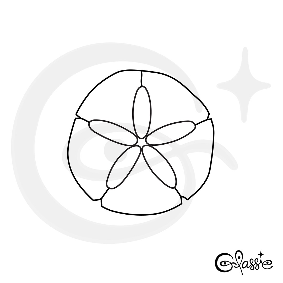 Sand Dollar Stained Glass Pattern (digital Download PDF/JPG) - Etsy