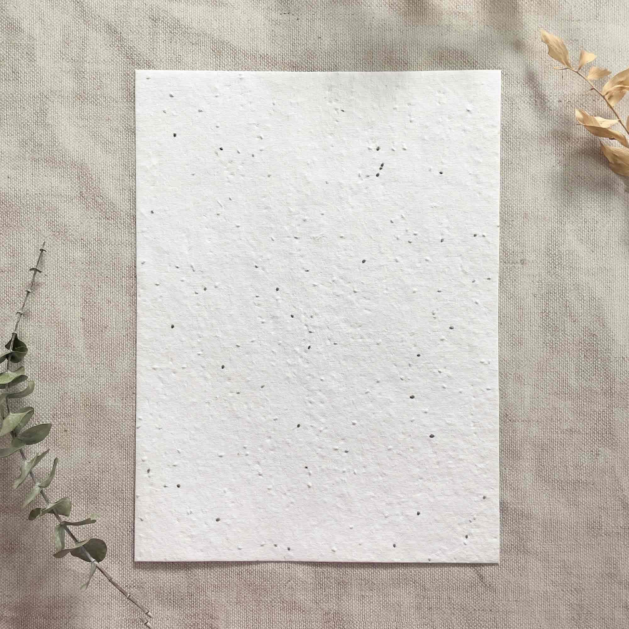 Basil Seed - Plantable Handmade Paper and Envelopes | Seeded Paper and ...