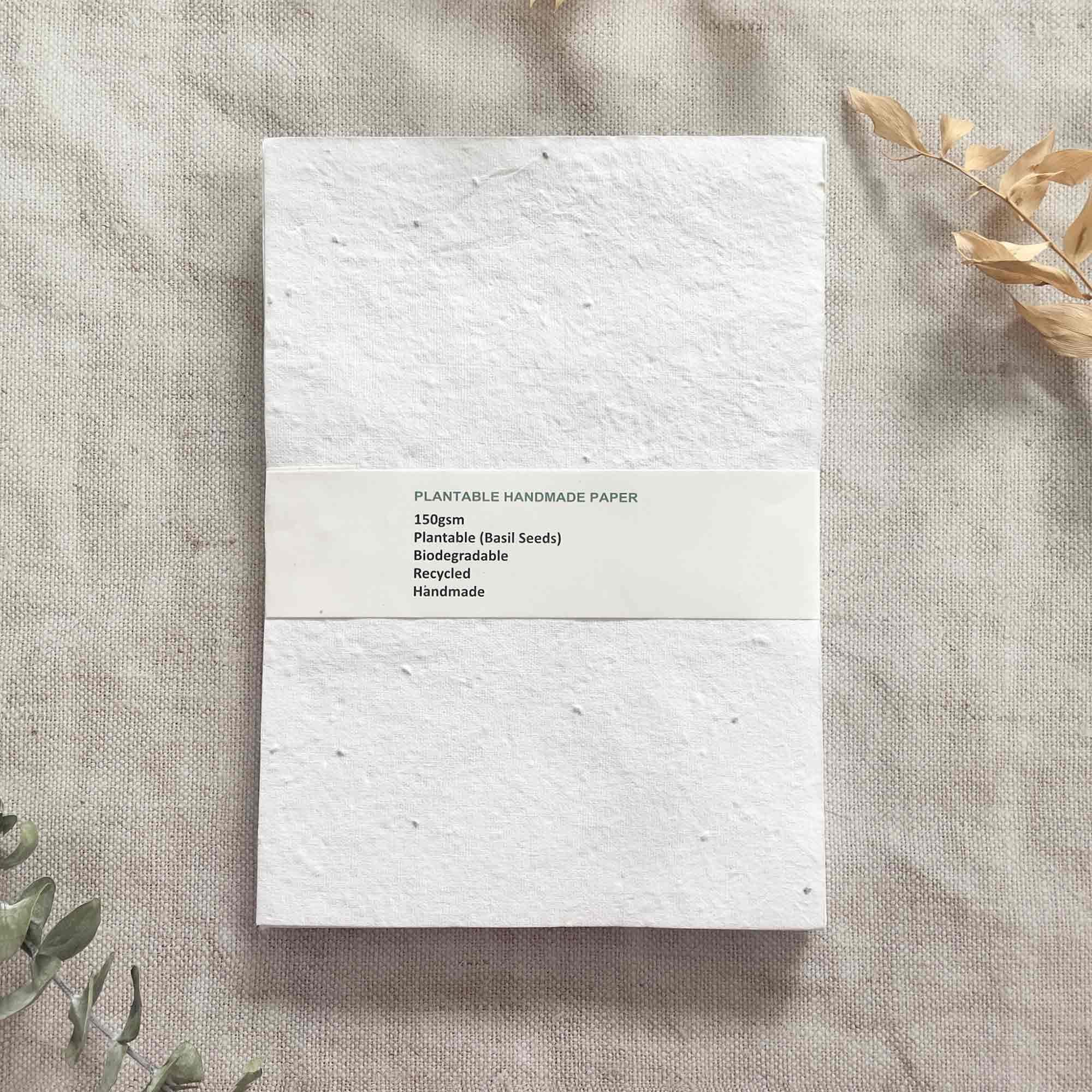 Basil Seed - Plantable Handmade Paper and Envelopes | Seeded Paper and ...