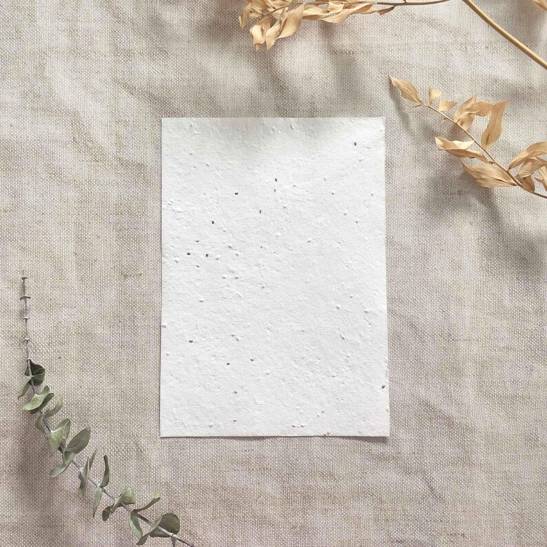 Basil Seed - Plantable Handmade Paper and Envelopes | Seeded Paper and ...